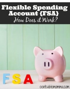 Flexible Spending Account (FSA): How Does It Work? - Centsable Momma