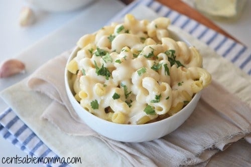 Roasted Garlic Creamy Pasta Recipe - Centsable Momma