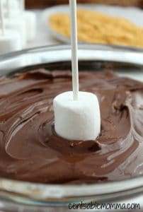 S'more Pops Recipe {includes FREE Printable Tags} - Centsable Momma