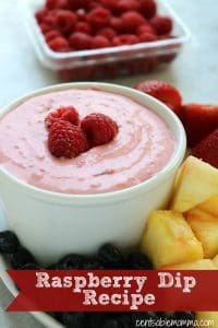 Raspberry Dip Recipe - Centsable Momma