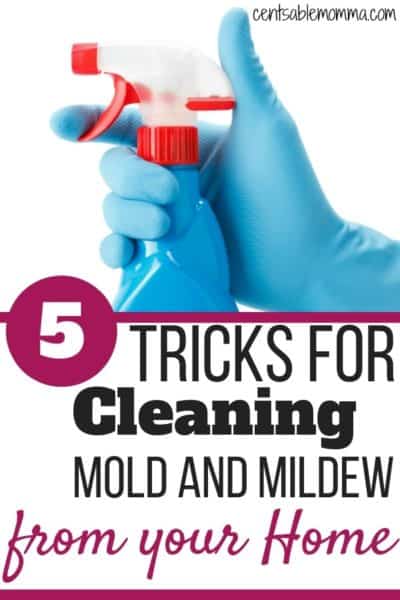 5 Tricks for Cleaning Mold and Mildew From Your Home - Centsable Momma