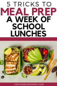 5 Tricks to Meal Prep a Week of School Lunches - Centsable Momma