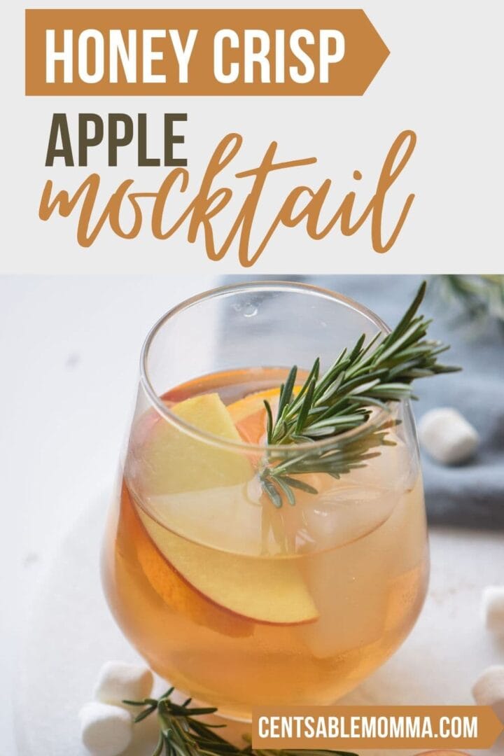 Honey Crisp Apple Mocktail Recipe - Centsable Momma